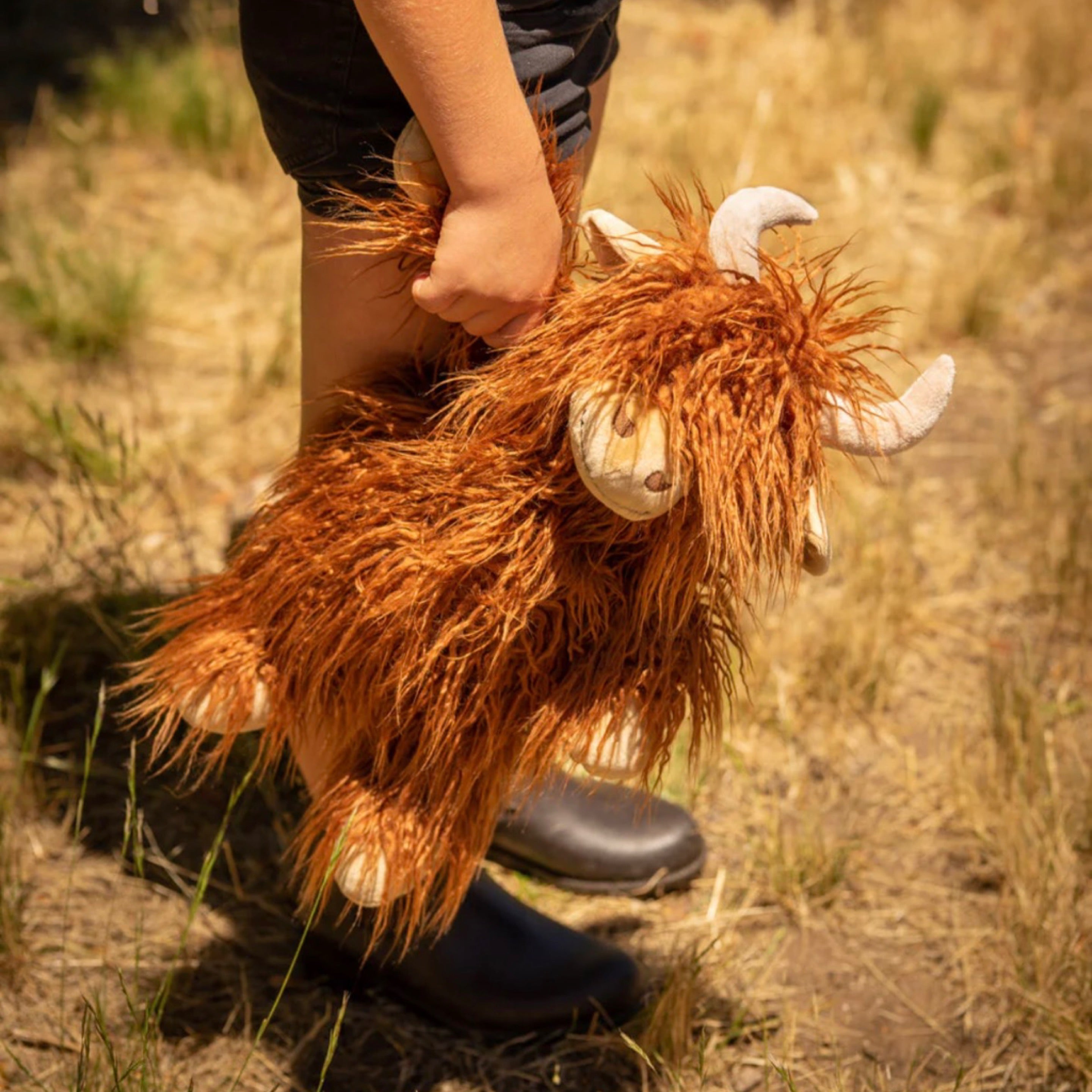 Henry The Highlander Cow ( Nana Huchy) | Little Olive Farm